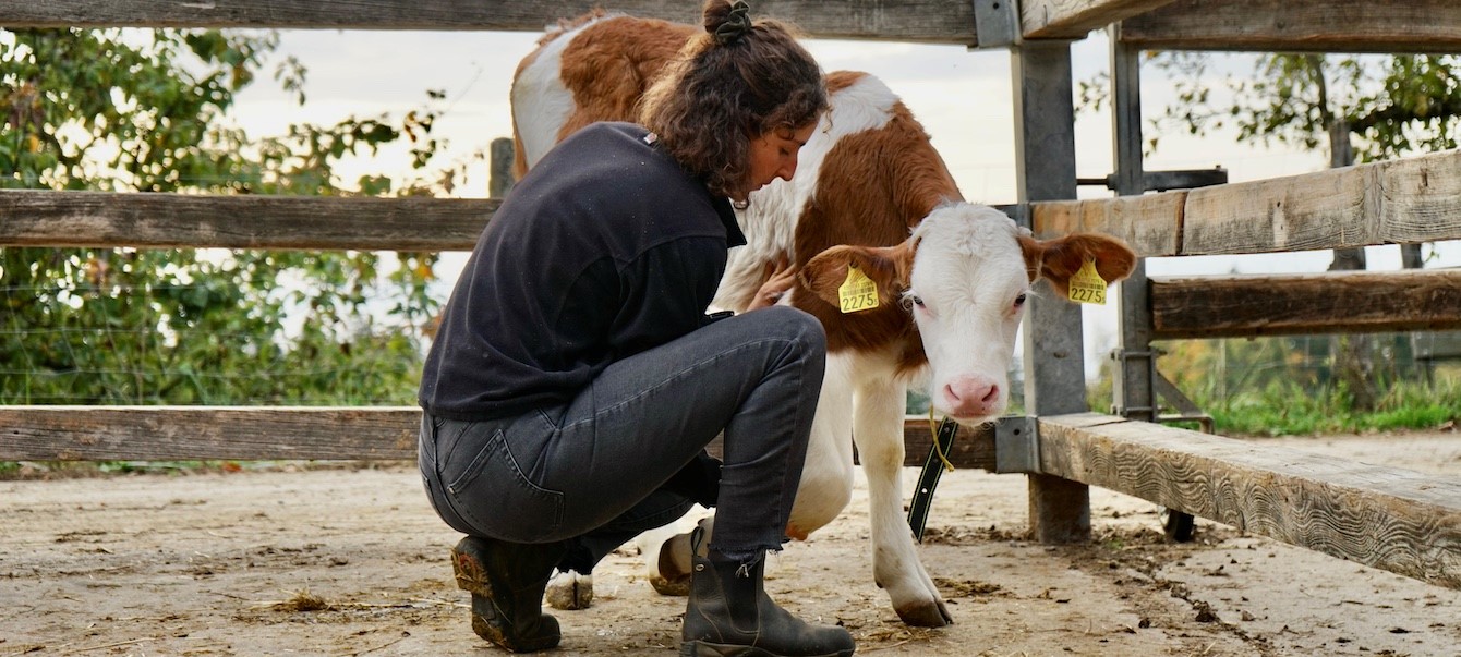 Shadia ostéopathie animale :: La commune d'Evolène :: Valais :: Suisse